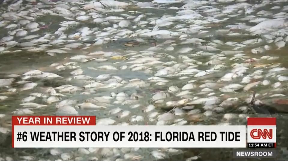CNN News：Meteorologist looks back at the extreme weather story of 2018 ...
